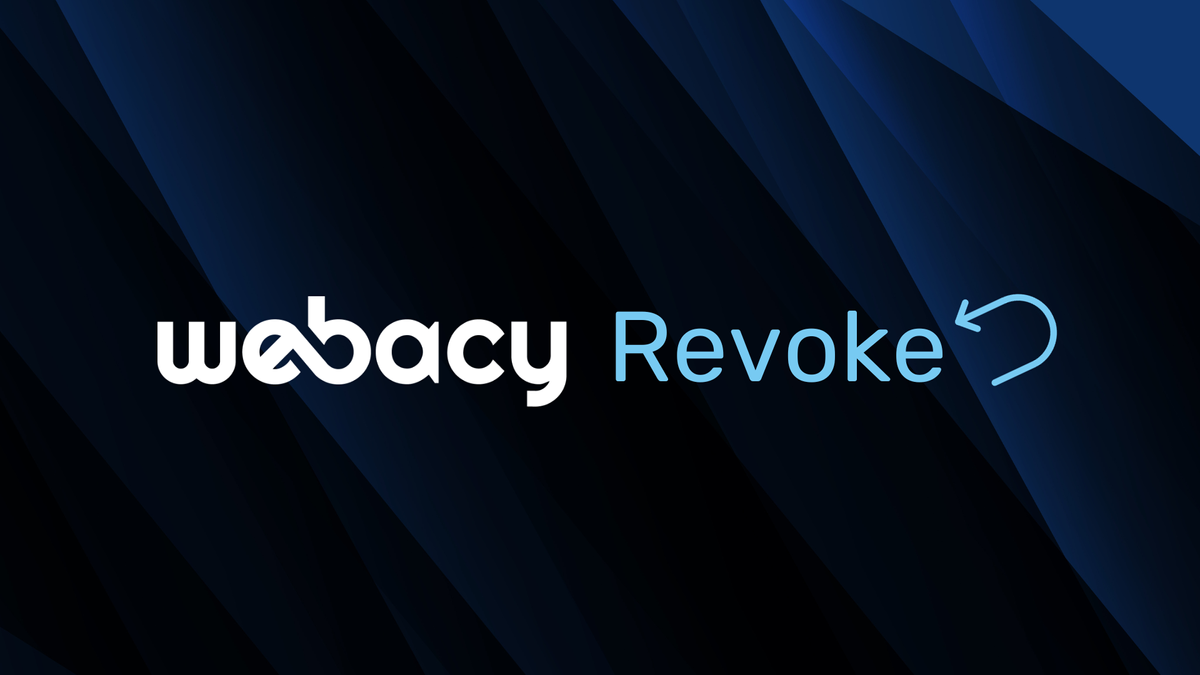 Empowering Wallet Safety in Web3: Managing Asset Approvals, Now ...